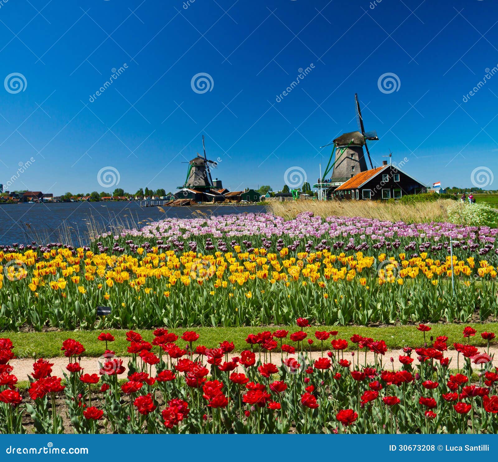 Molino De Viento En Holanda Foto de archivo - Imagen de casa, verde ...