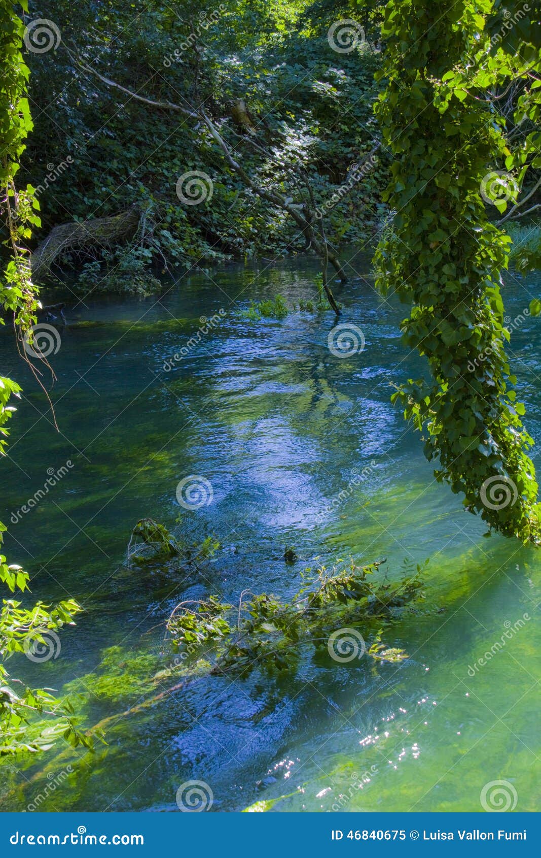 Fiume Timavo Trieste