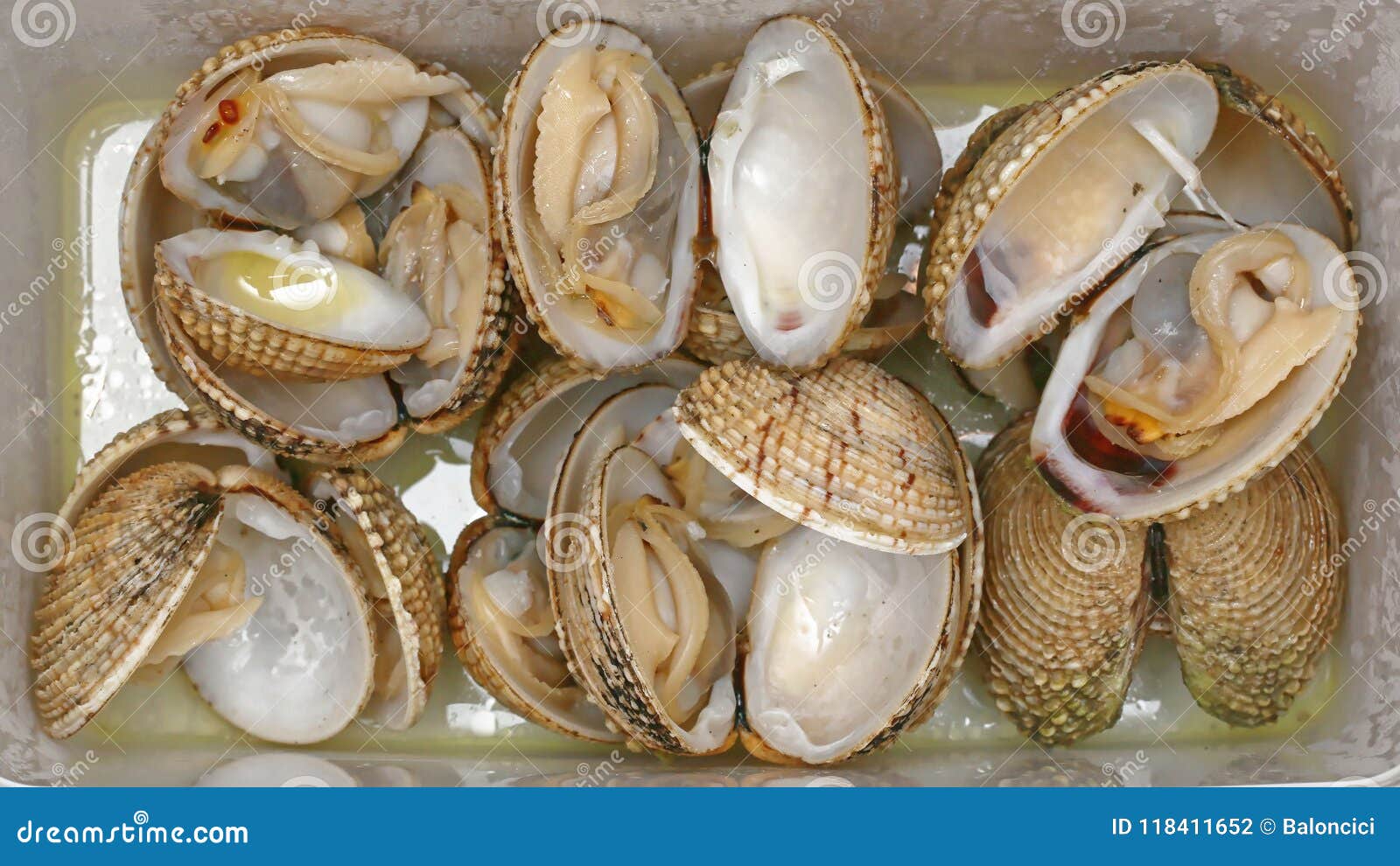 Molluschi fotografia stock. Immagine di crostacei, molluschi - 118411652