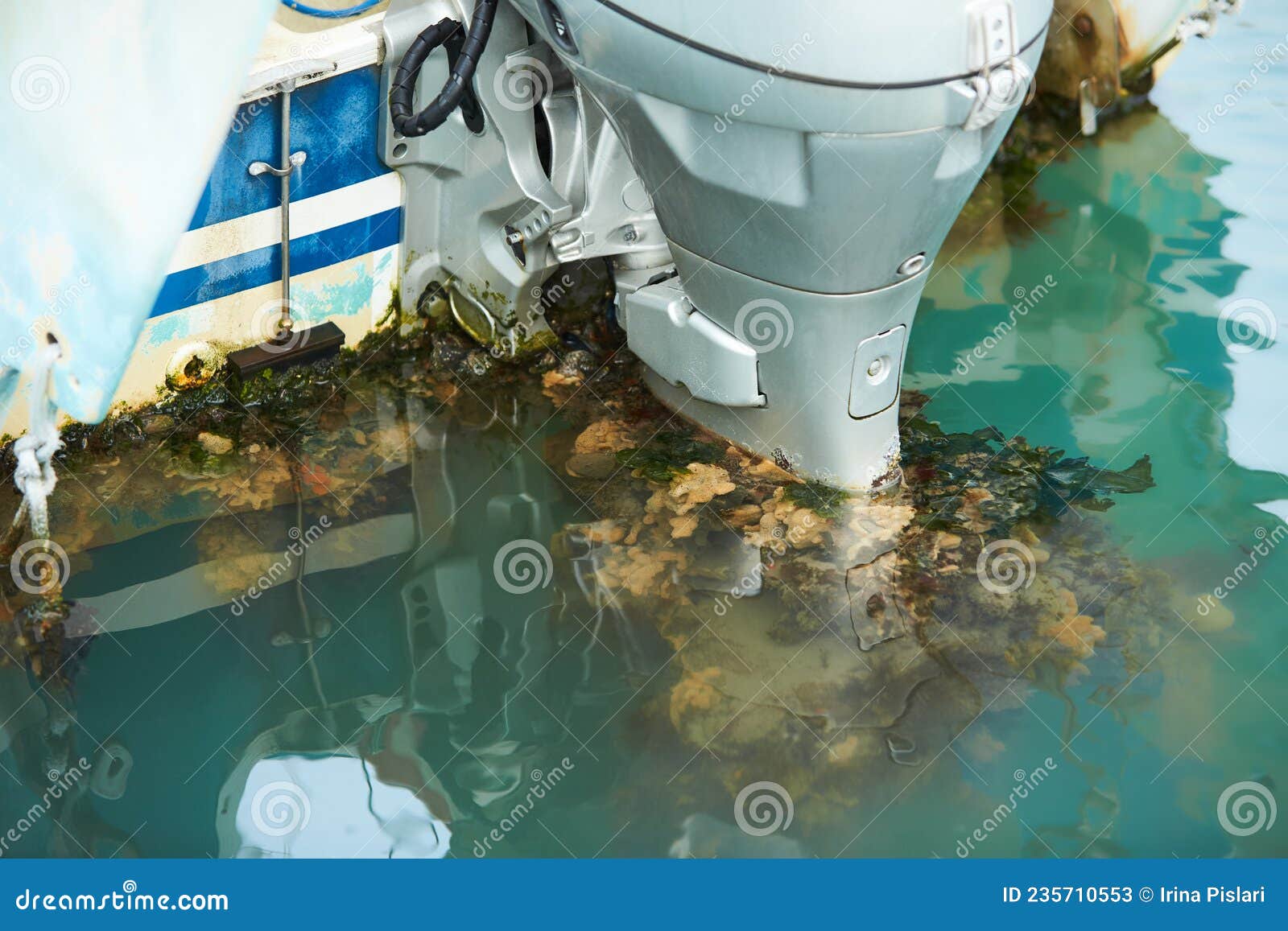 Molluscs, Overgrown Ship Bottom. Shellfish on the Hull of the Ship ...