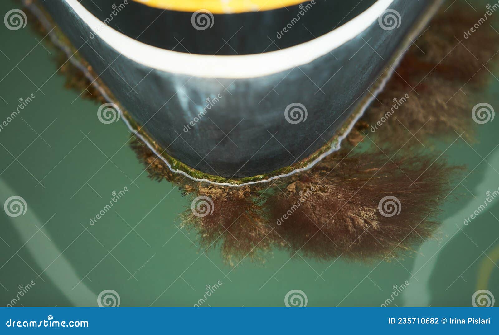 Molluscs, Overgrown Ship Bottom. Shellfish on the Hull of the Ship ...