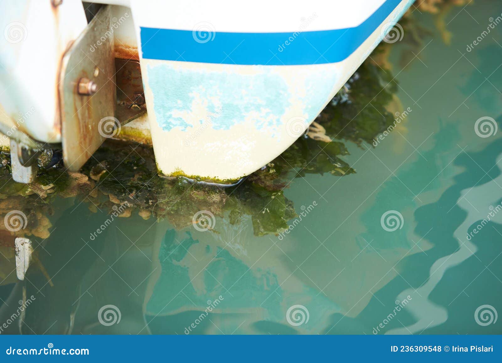 Molluscs, Overgrown Ship Bottom. Shellfish on the Hull of the Ship ...