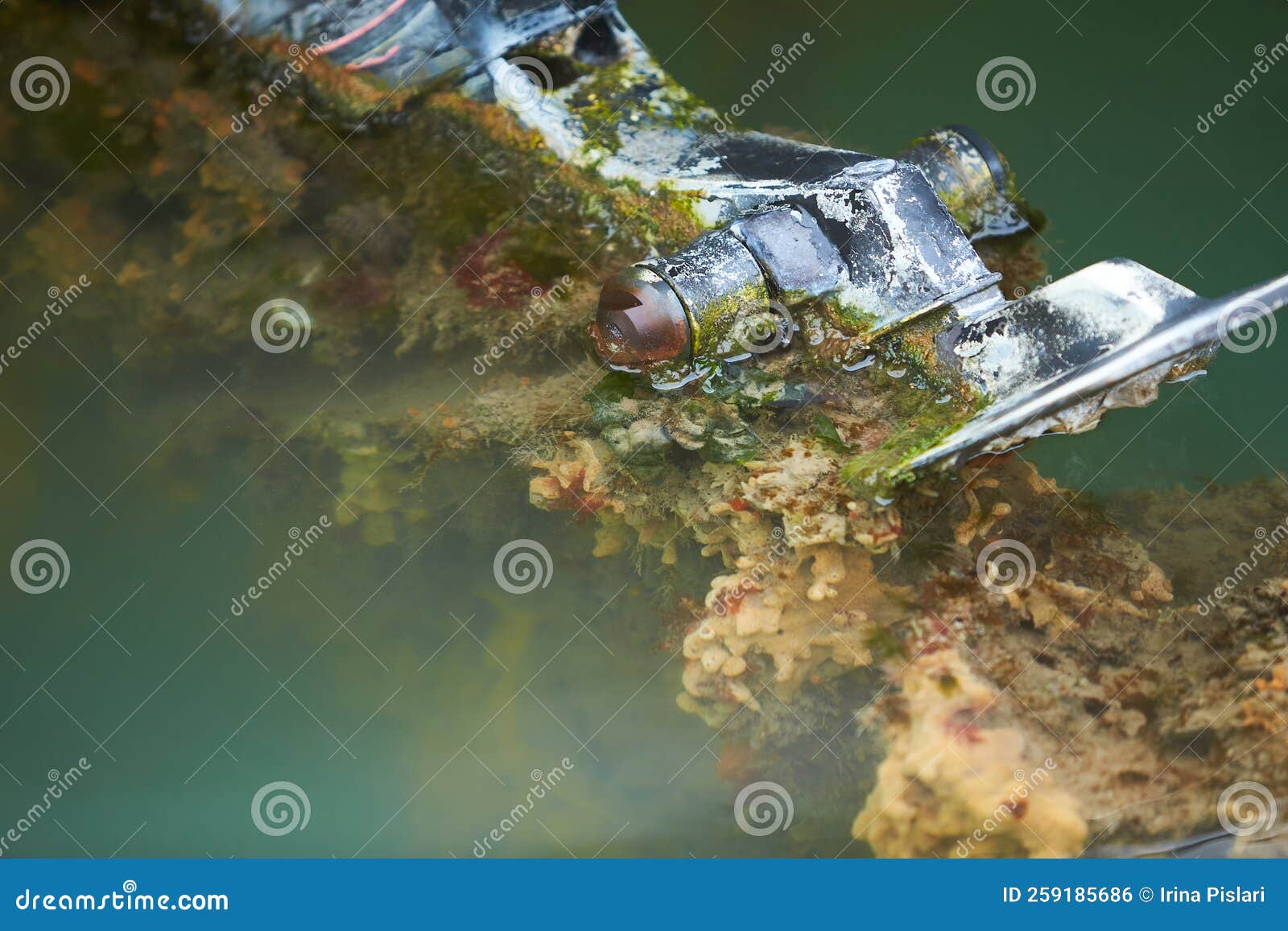 Molluscs, Overgrown Ship Bottom. Shellfish on the Hull of the Ship ...