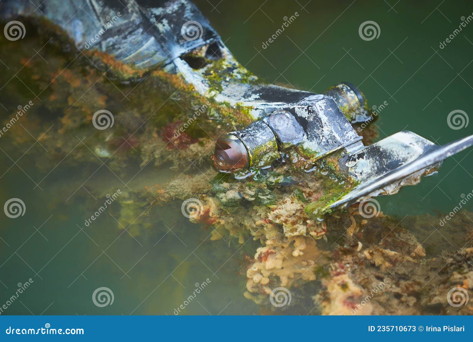 Molluscs, Overgrown Ship Bottom. Shellfish on the Hull of the Ship ...