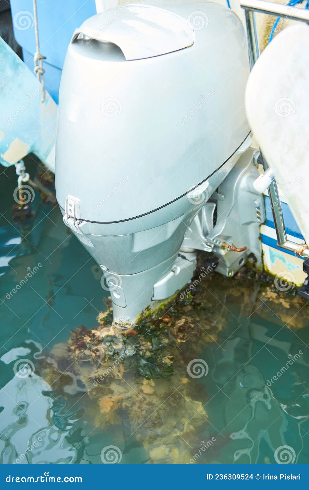 Molluscs, Overgrown Ship Bottom. Shellfish on the Hull of the Ship ...