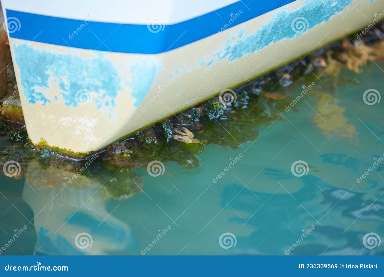 Molluscs, Overgrown Ship Bottom. Shellfish on the Hull of the Ship ...