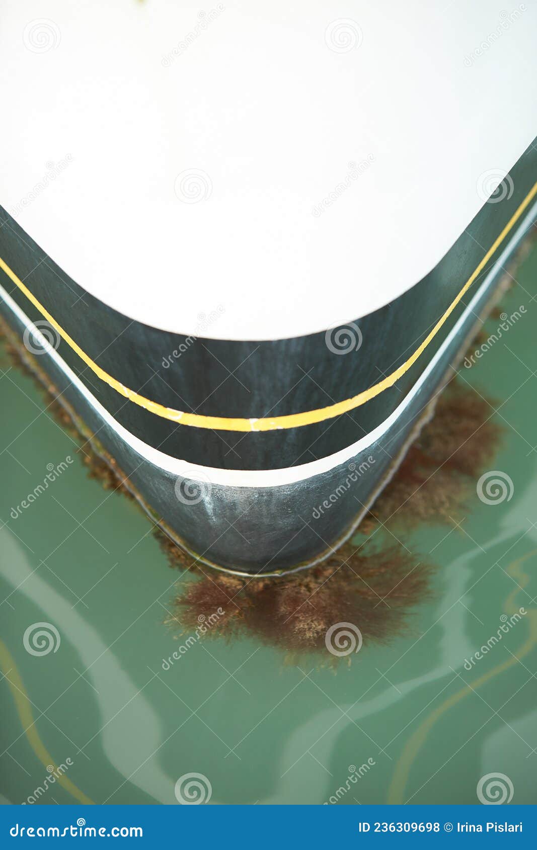 Molluscs, Overgrown Ship Bottom. Shellfish on the Hull of the Ship ...