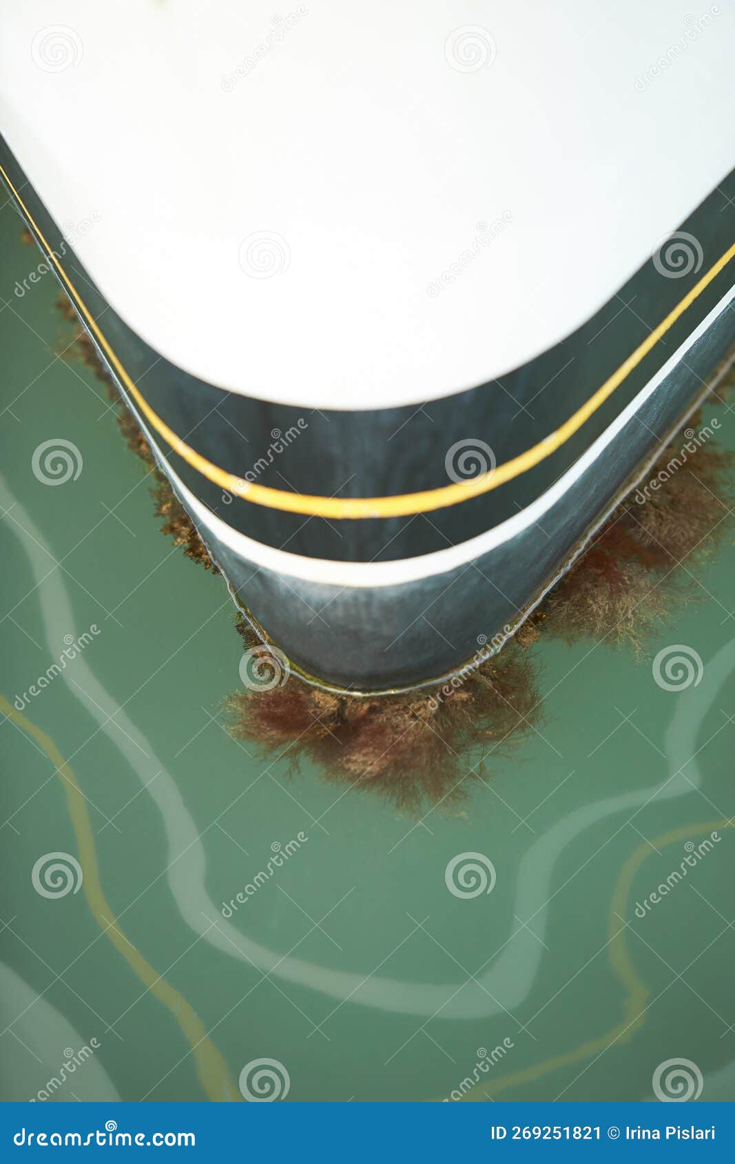 Molluscs, Overgrown Ship Bottom. Shellfish on the Hull of the Ship ...