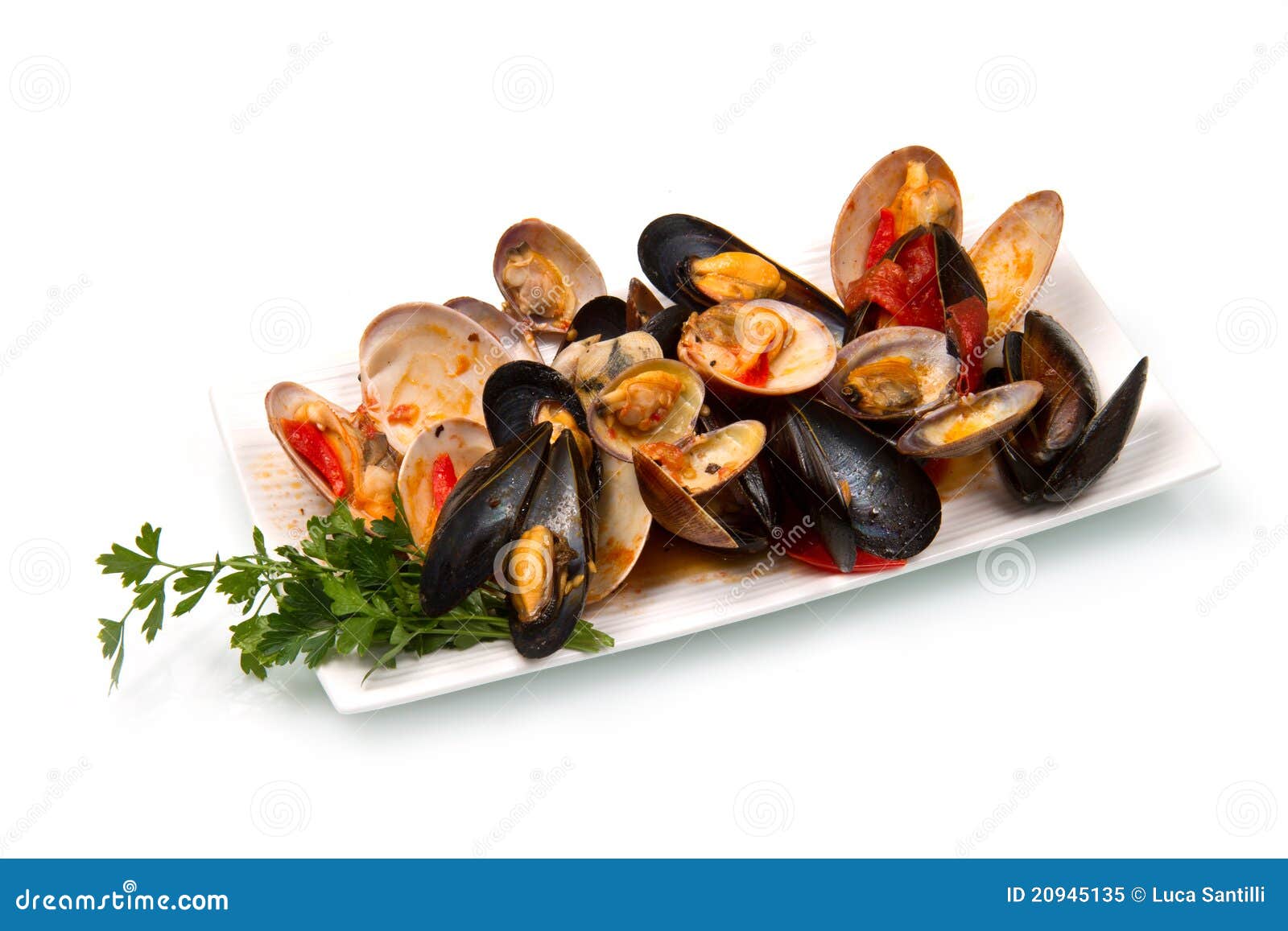 Mollusk stock image. Image of fresh, background, parsley - 20945135