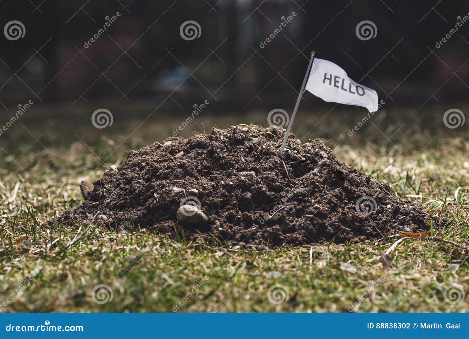 Molshoop in Tuin, Dierlijke Activiteit in Tuin Stock Foto - Image of ...