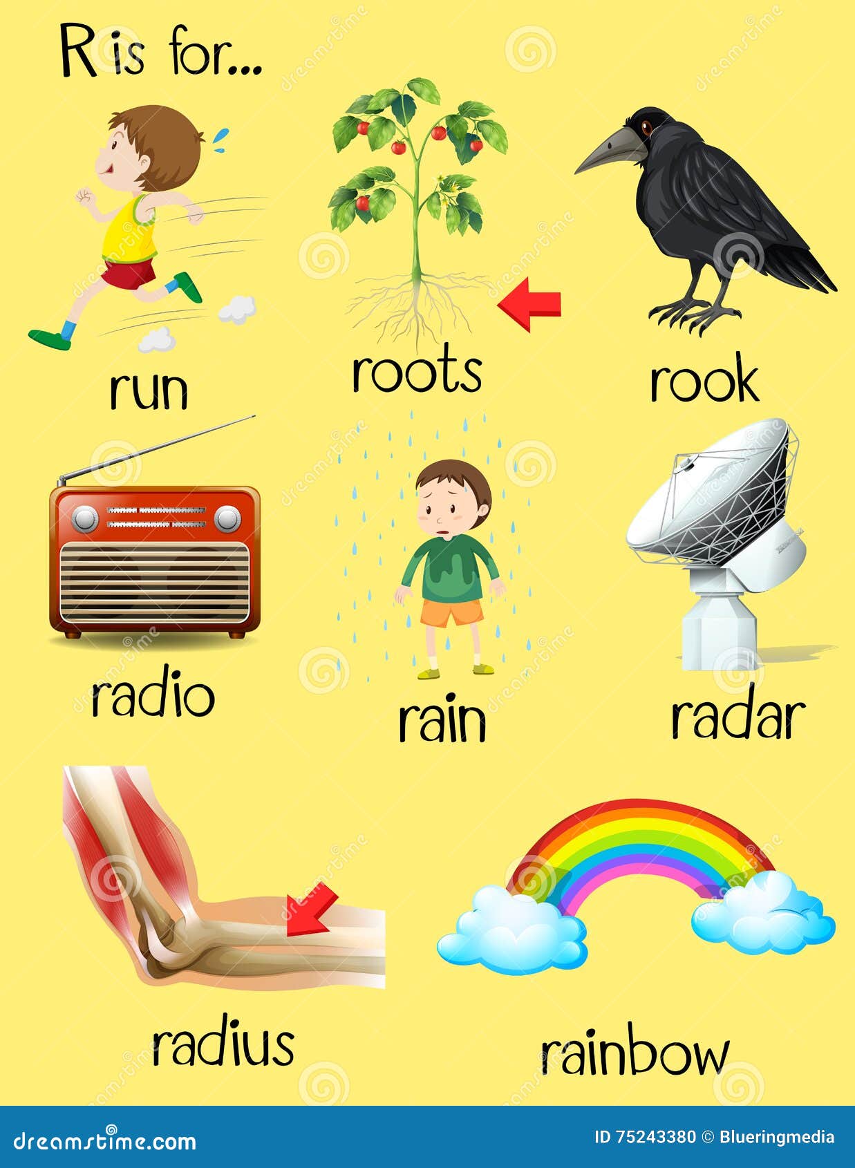Molte Parole Cominciano Con L'alfabeto R Illustrazione Vettoriale ...