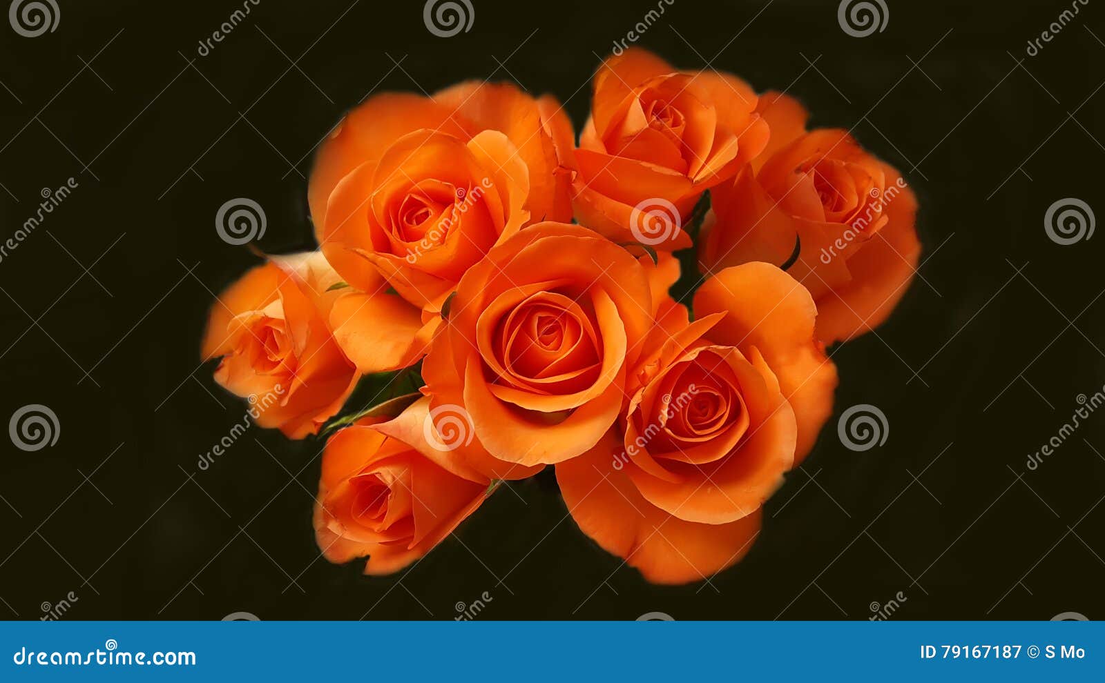 Molte Rose Arancio Nel Mazzo Immagine Stock - Immagine di fiore ...