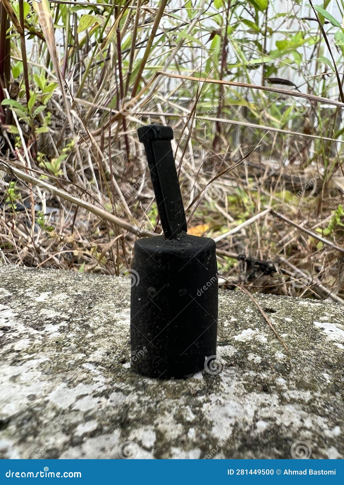 Black bottle cap stock photo. Image of forest, wildlife - 281449500