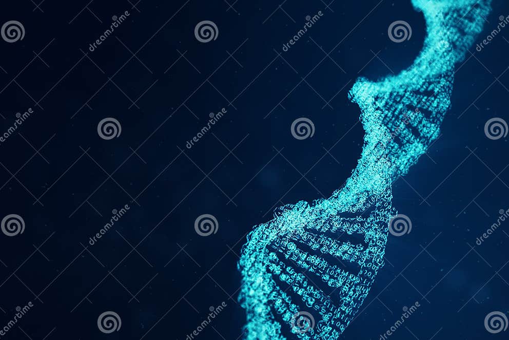 Molécule D'ADN De Digital, Structure Génome Humain De Code Binaire De ...