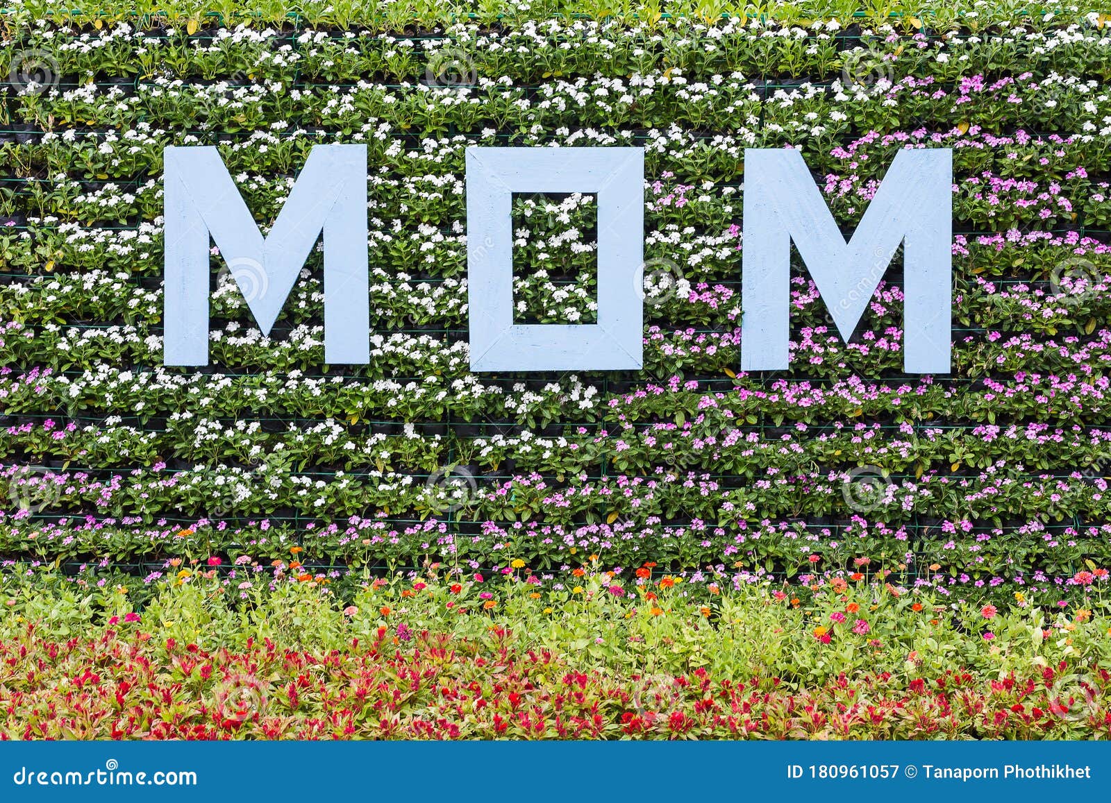 MOM Label on Flowers Bakground Stock Image - Image of wallpaper ...