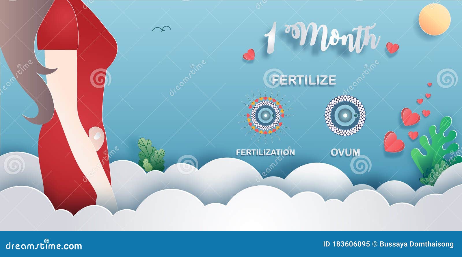 Pregnancy 1-month Stages of Development. Process of Human Fetal Growth ...