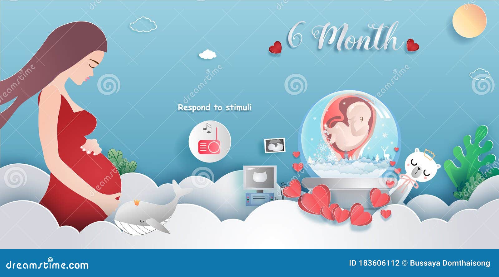 Pregnancy 6-month Stages of Development. Process of Human Fetal Growth ...