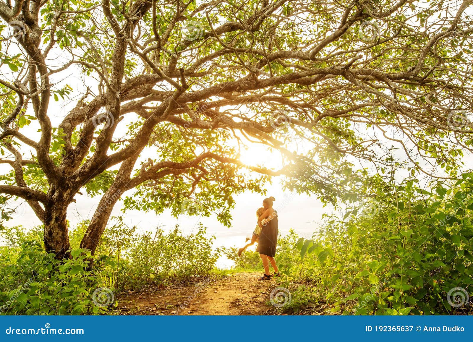 Mom and Son on a Background of a Large Tree Stock Image - Image of hugs ...