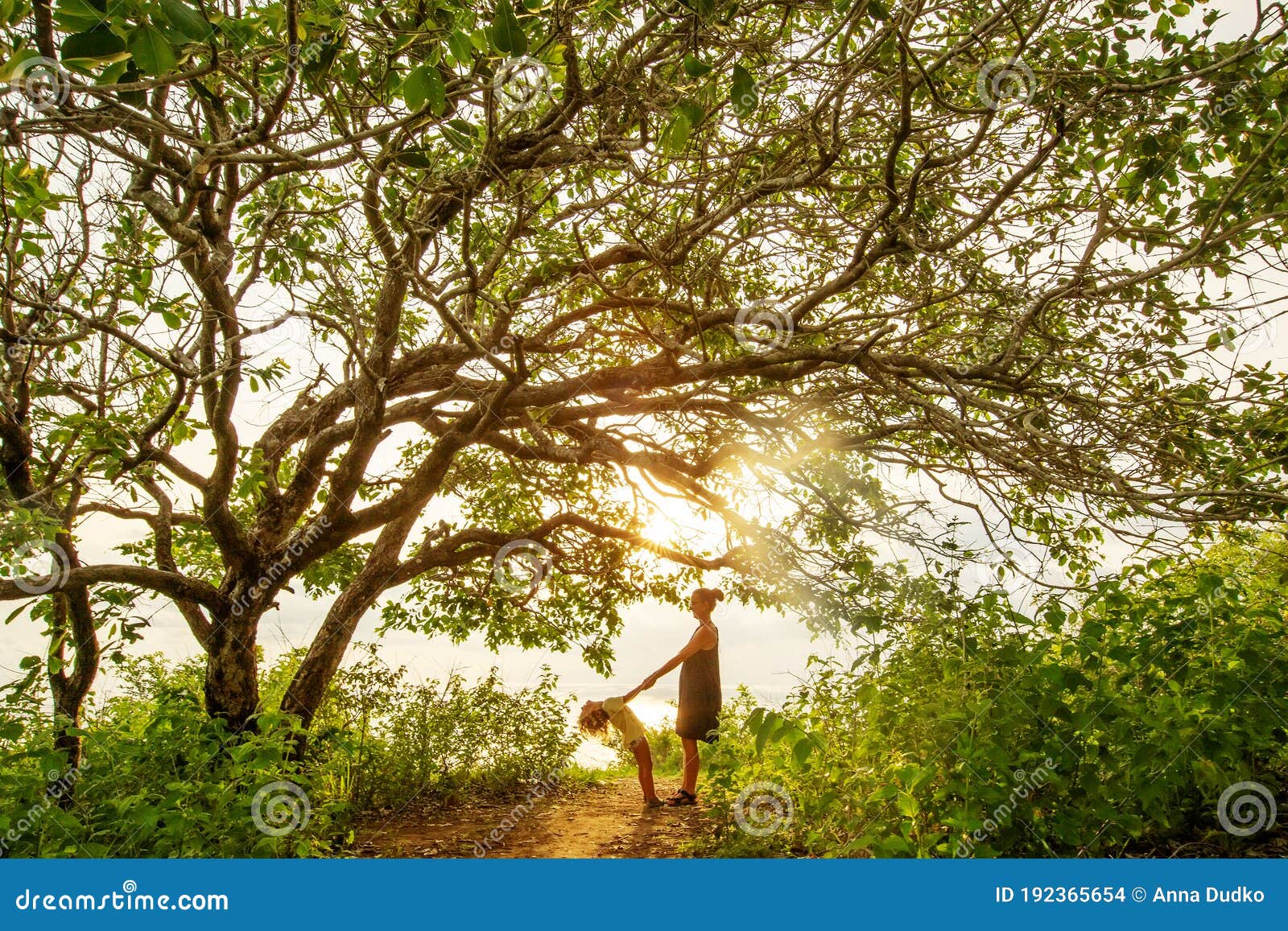 Mom and Son on a Background of a Large Tree Stock Photo - Image of ...