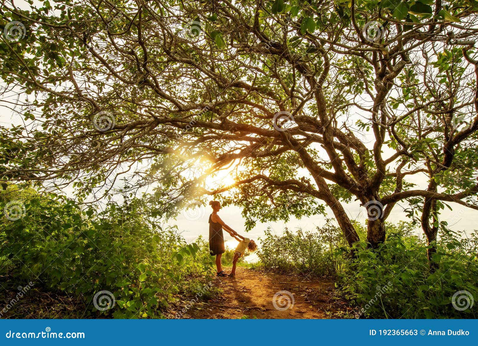 Mom and Son on a Background of a Large Tree Stock Image - Image of ...