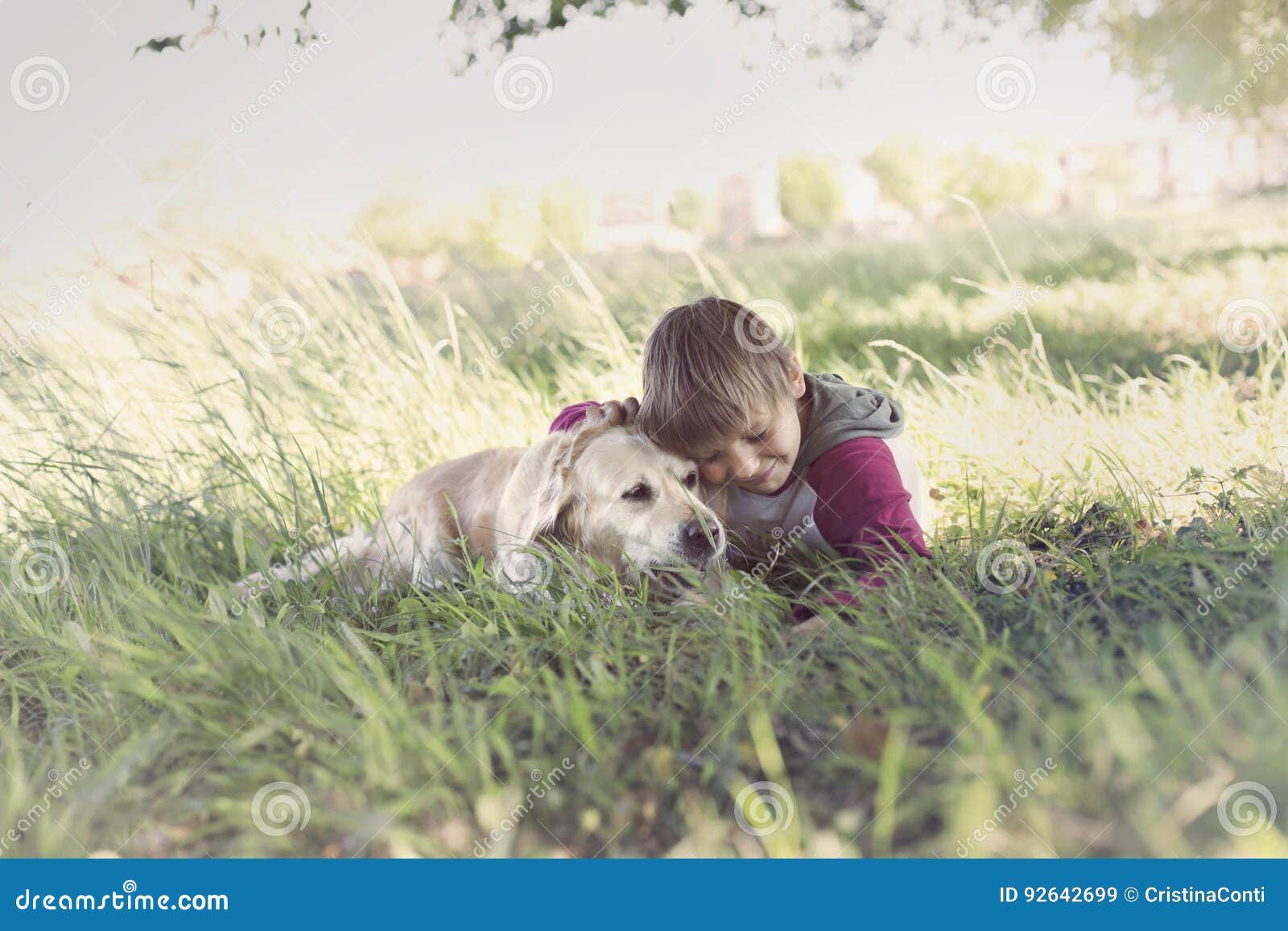 Moment of Love between a Boy and His Dog Stock Image - Image of magic ...