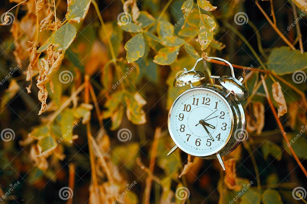 Autumn Clock Changing Hours in Natural Fall Decor Stock Illustration ...