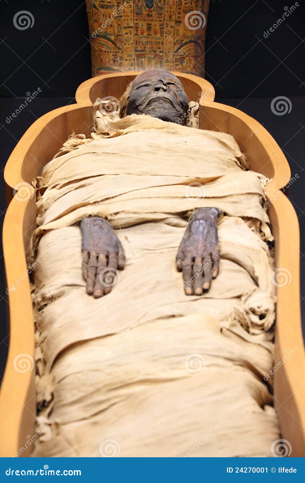 Momie égyptienne image stock. Image of sarcophage, maman - 24270001