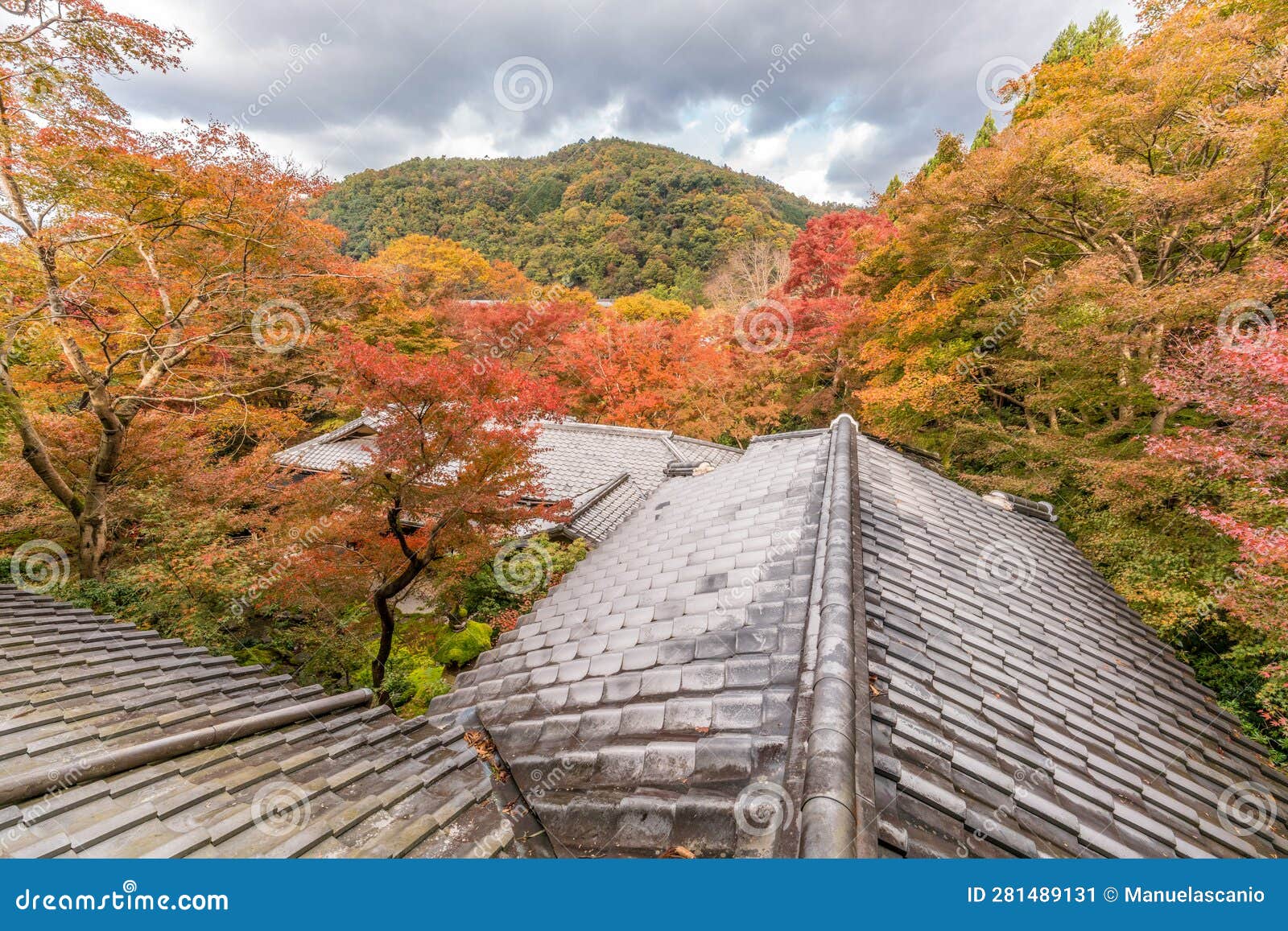 Autumn Leaves Fall Foliage Forest Landscape Near Ruriko In Komyo Ji