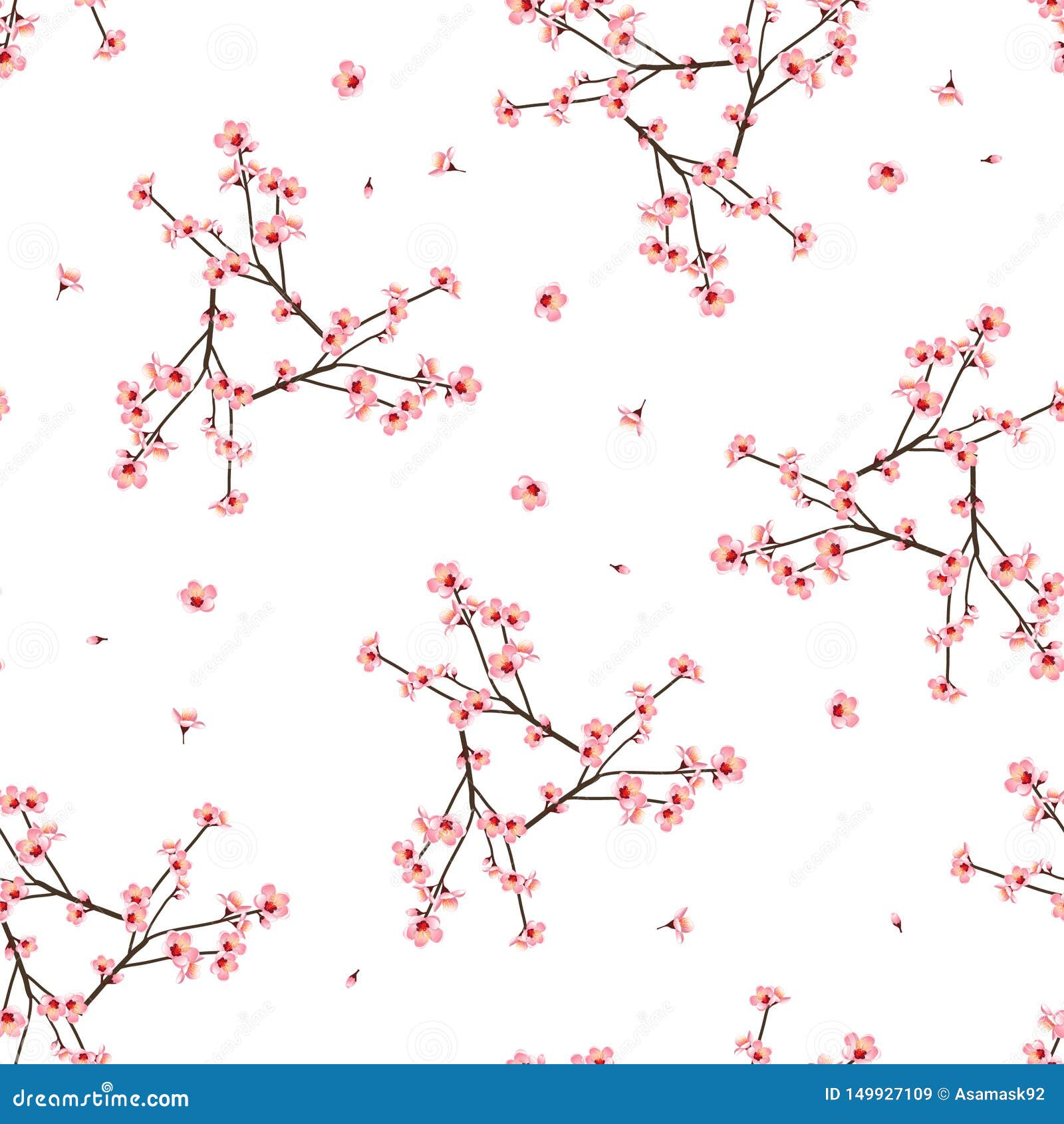 Momo Peach Flower Blossom Banner Card Border Outline. Vector ...