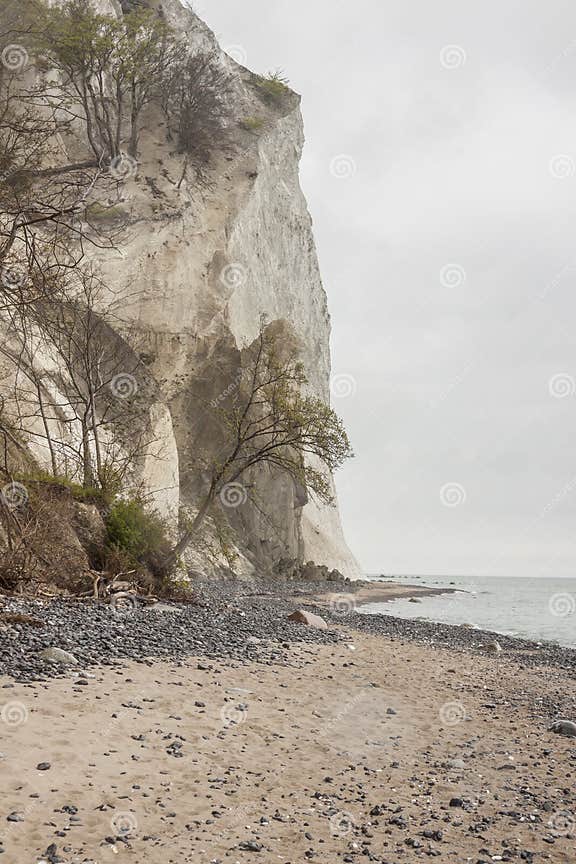 Mon, Denmark - White Cliffs Stock Photo - Image of denmark, coast ...