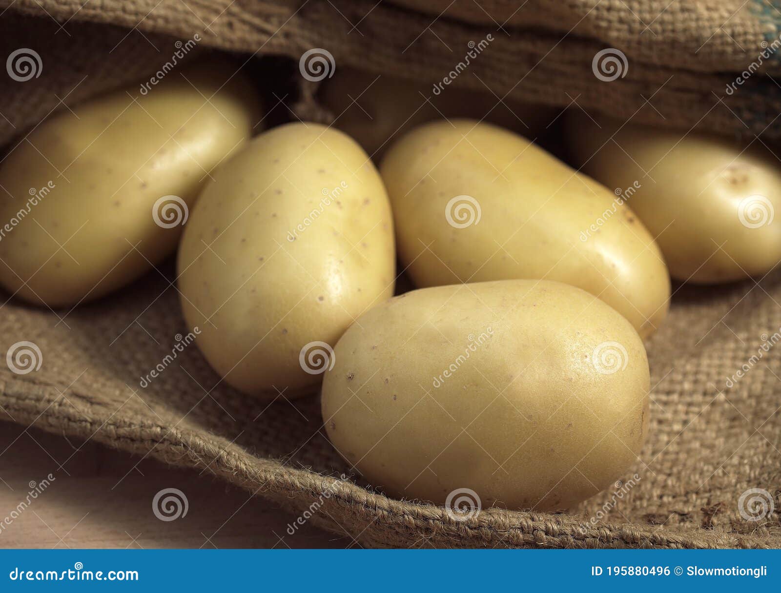 Mona Lisa Batateira Solanum Tuberosum Foto de Stock - Imagem de vida ...