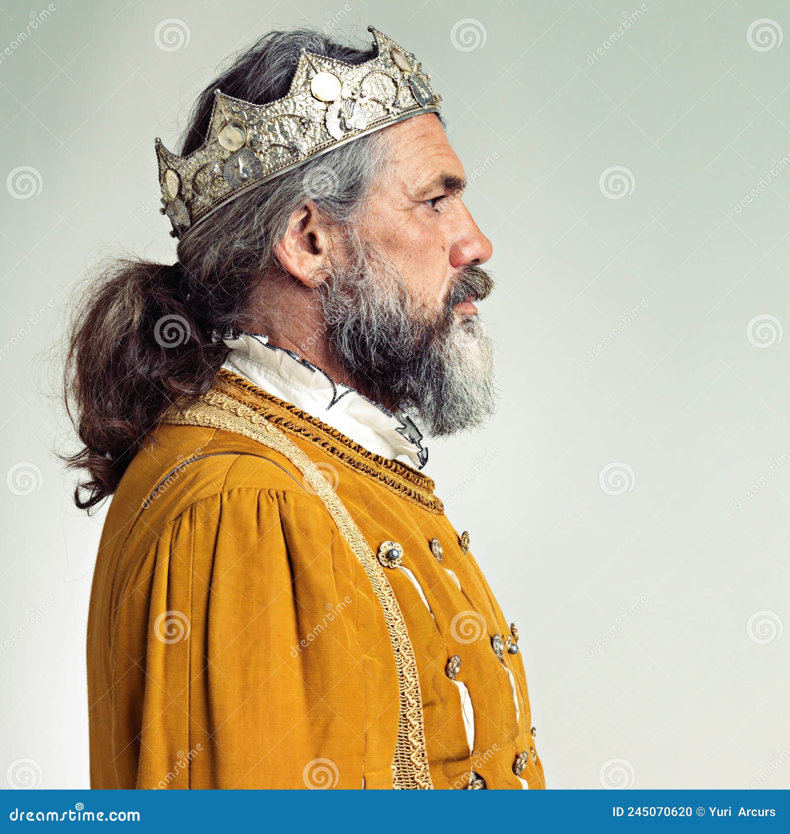 Monarch Absolute. Profile of a Mature King. Stock Photo - Image of pose ...