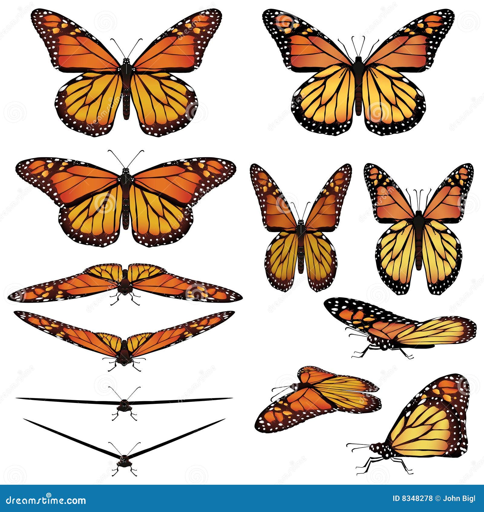 Monarch Cartoons, Illustrations & Vector Stock Images - 74857 Pictures ...