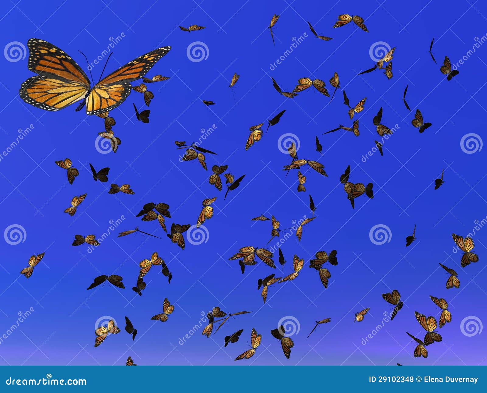 Monarch Butterflies Migration - 3D Render Stock Photo - Image of nature ...