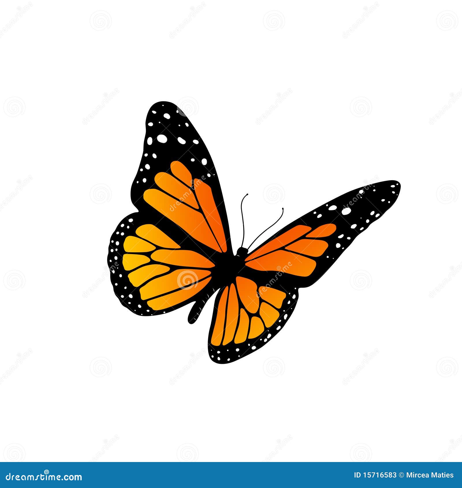 Monarch Cartoons, Illustrations & Vector Stock Images - 74857 Pictures ...