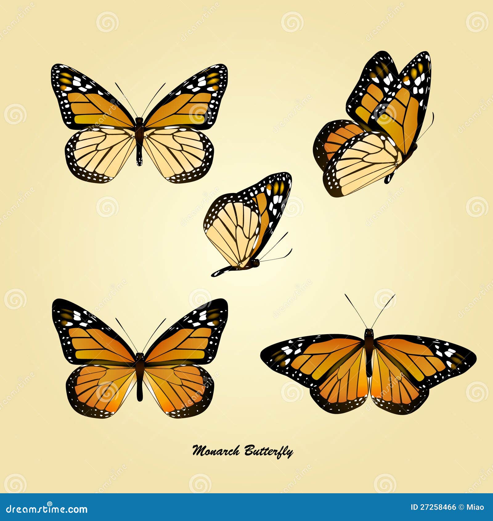Monarch Butterfly stock vector. Illustration of natural - 27258466