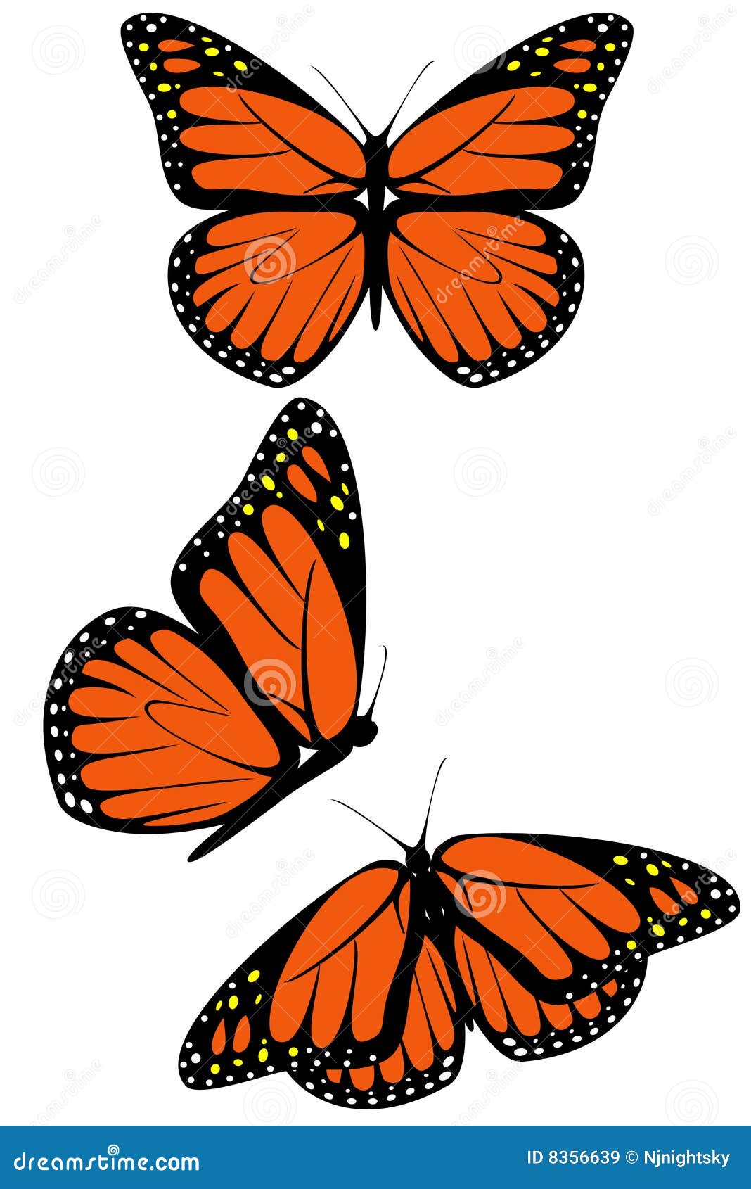 Monarch butterfly stock vector. Illustration of arthropod - 8356639