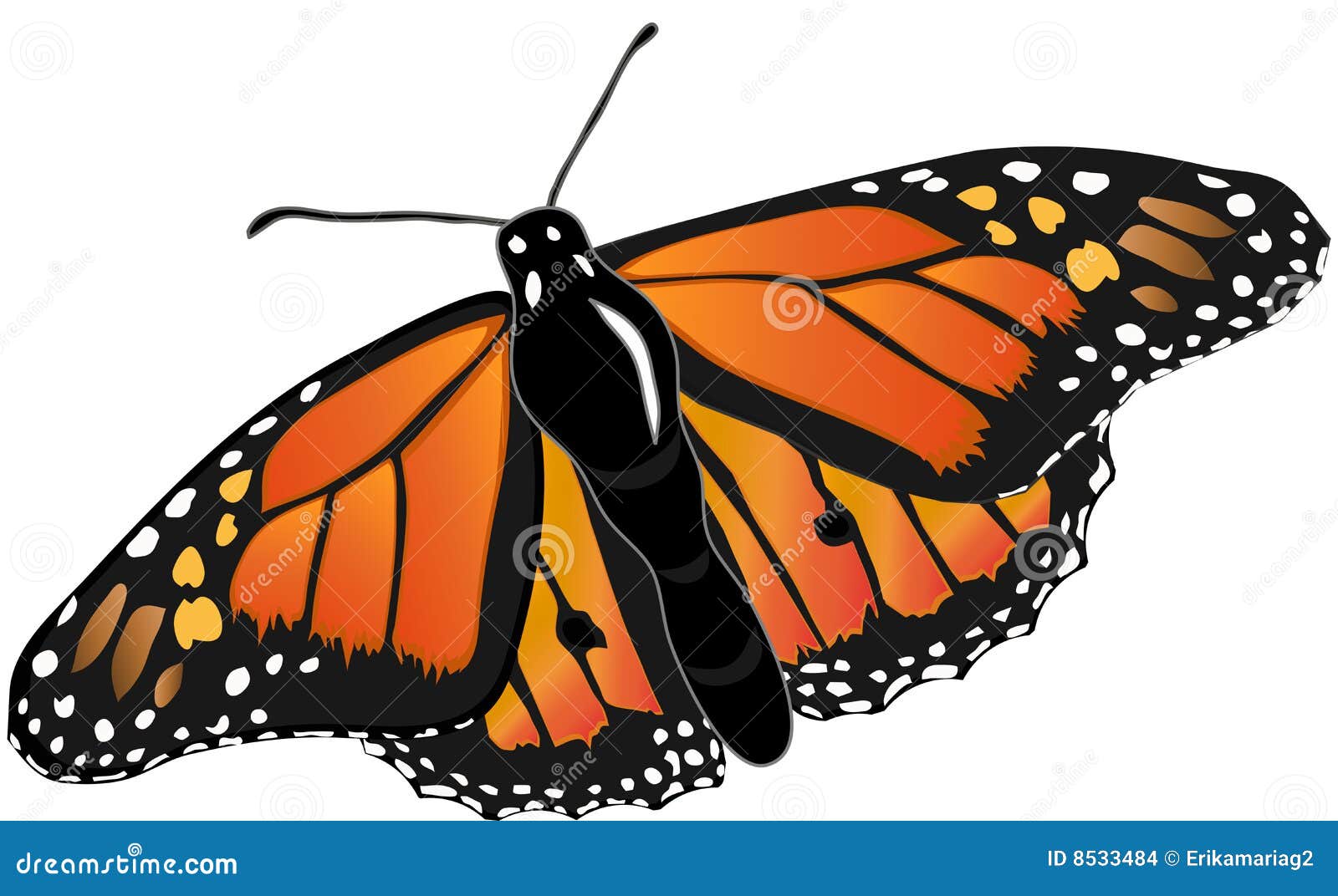 Monarch Butterfly Vector Illustration | CartoonDealer.com #8533484