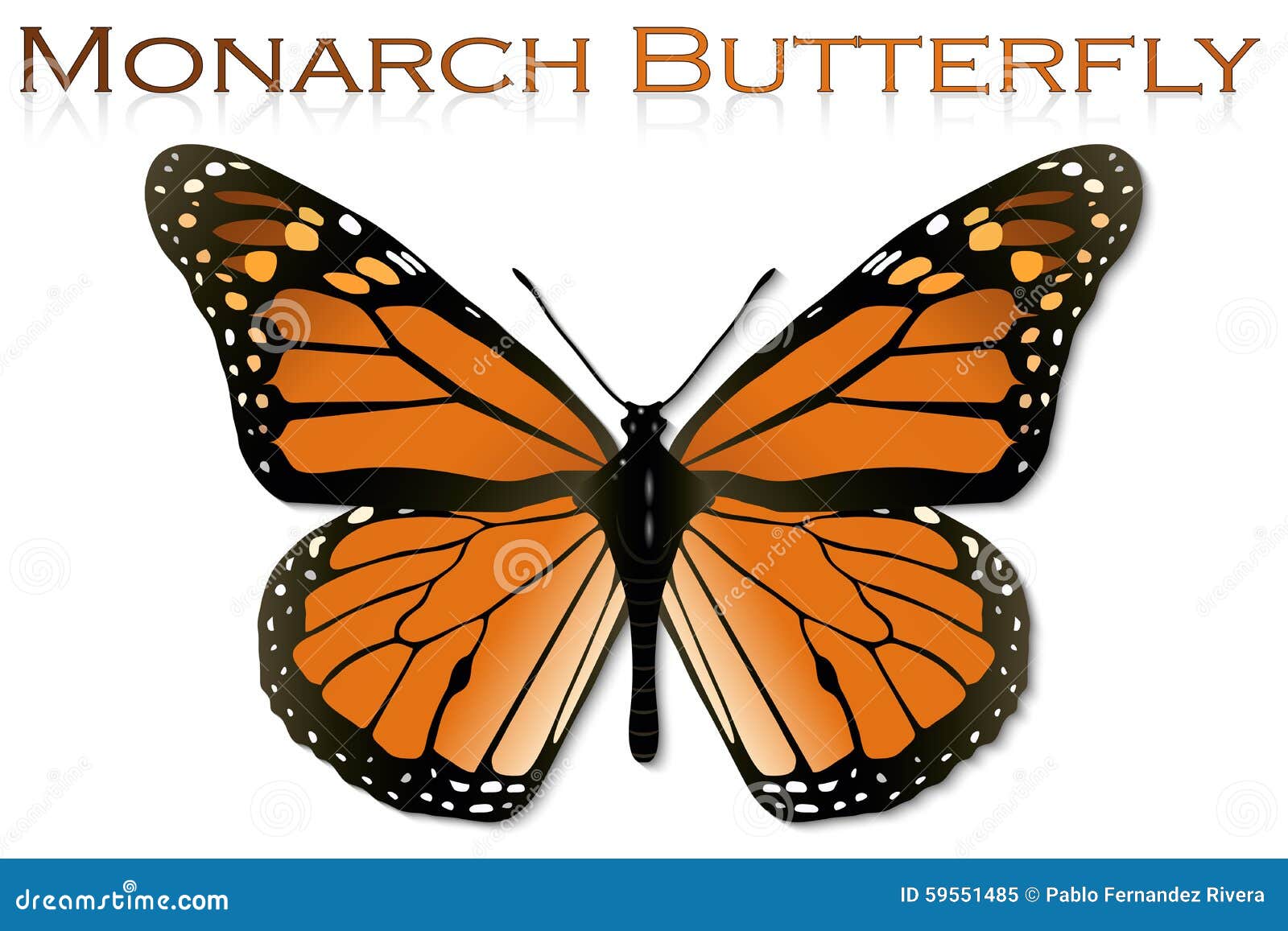 Monarch Butterfly Or Wild Insect. Mystical Symbol Or Entomological Of ...