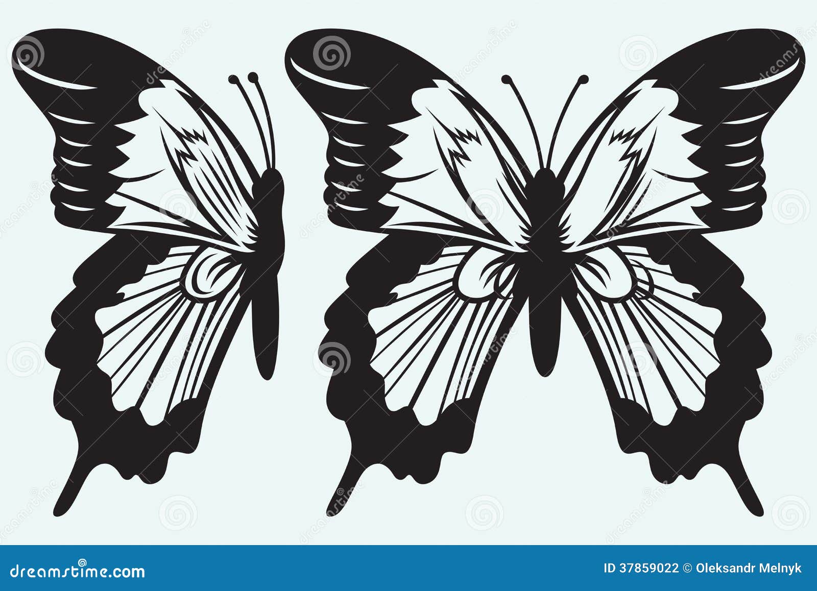 Monarch Butterfly With Open Wings Stock Photography - Image: 37859022