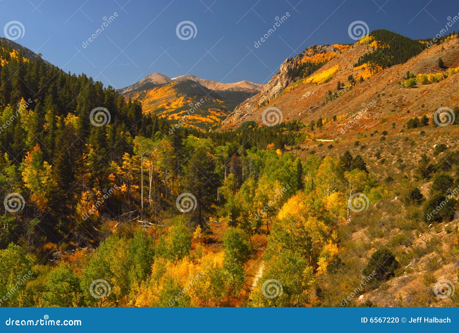 Monarch Pass stock photo. Image of driving, aspen, fall - 6567220