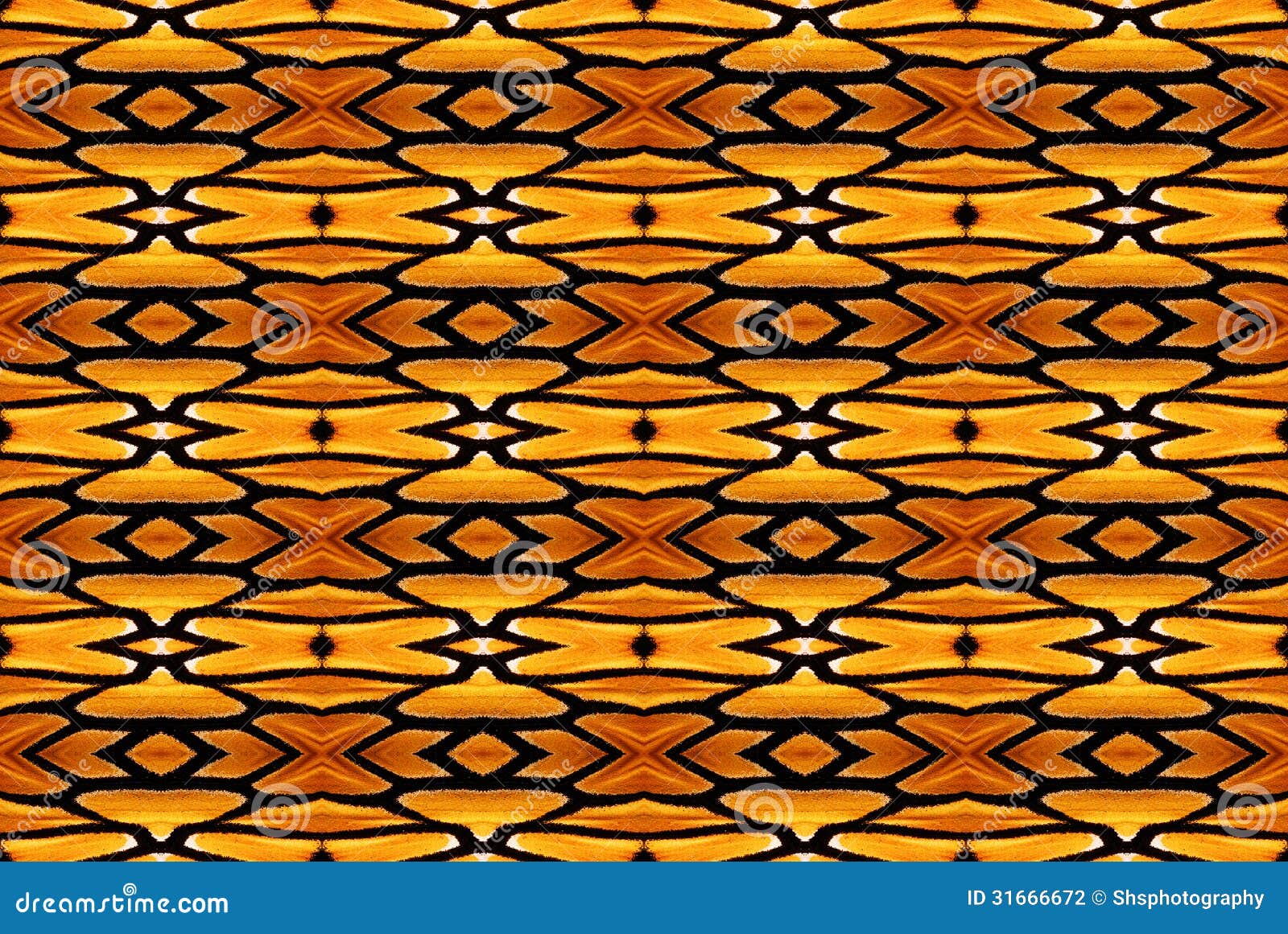 Monarch Pattern 1 stock photo. Image of backdrop, beauty - 31666672