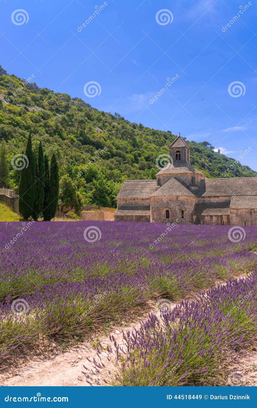 Monasteries of the Cistercian Stock Image - Image of lavande ...