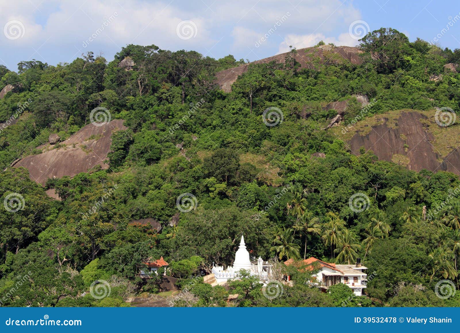 Monastery in forest stock photo. Image of tree, temple - 39532478