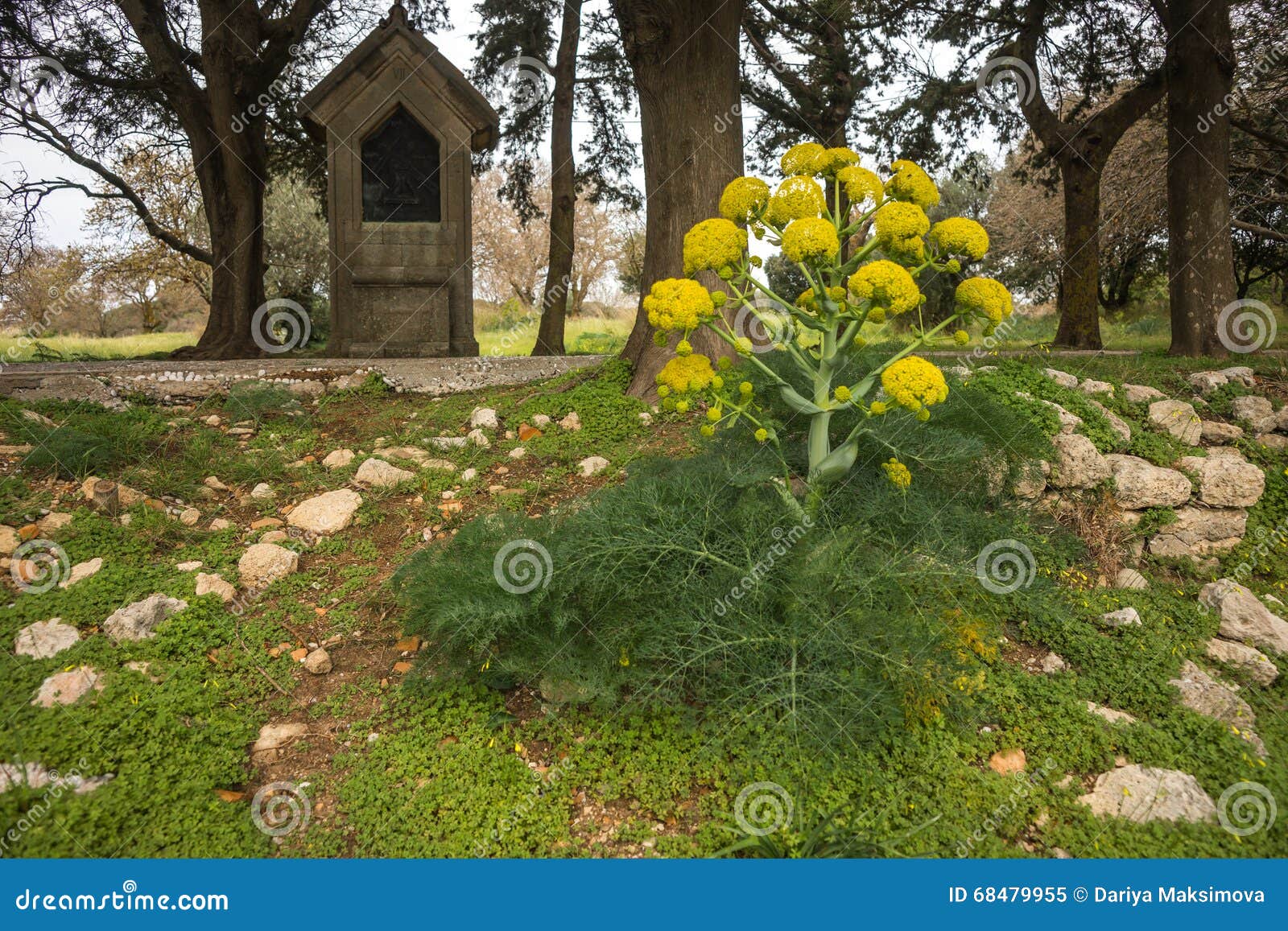 Monastery on Mount Filerimos, Rhodes, Greece Stock Image - Image of ...