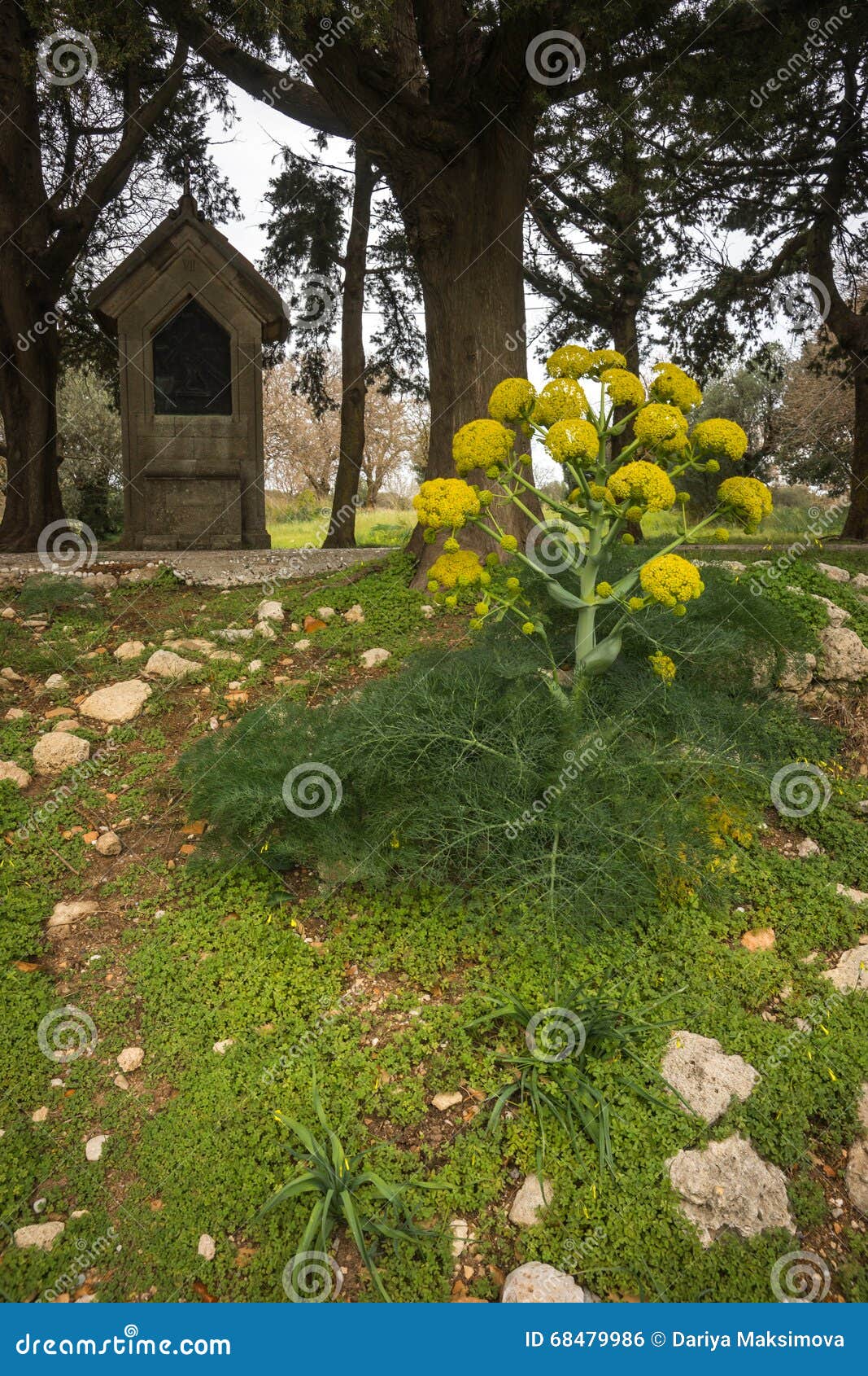Monastery on Mount Filerimos, Rhodes, Greece Stock Photo - Image of ...
