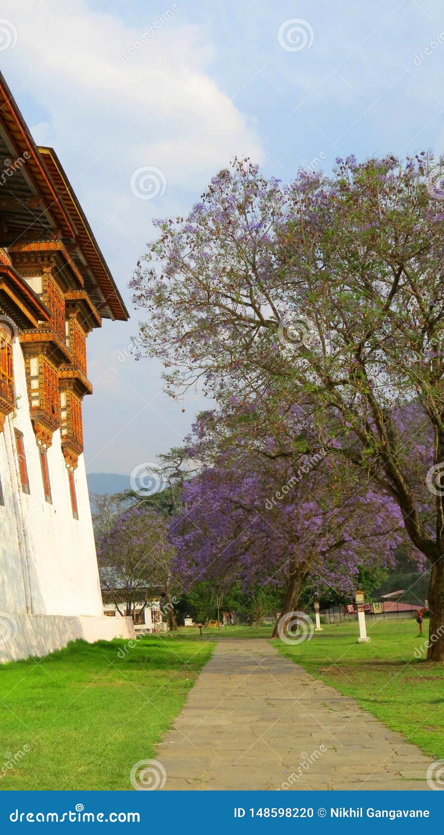 The Monastery Path stock photo. Image of road, picturesque - 148598220