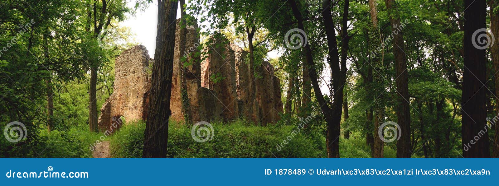 Monastery Ruin in the Forest Stock Image - Image of church, forest: 1878489