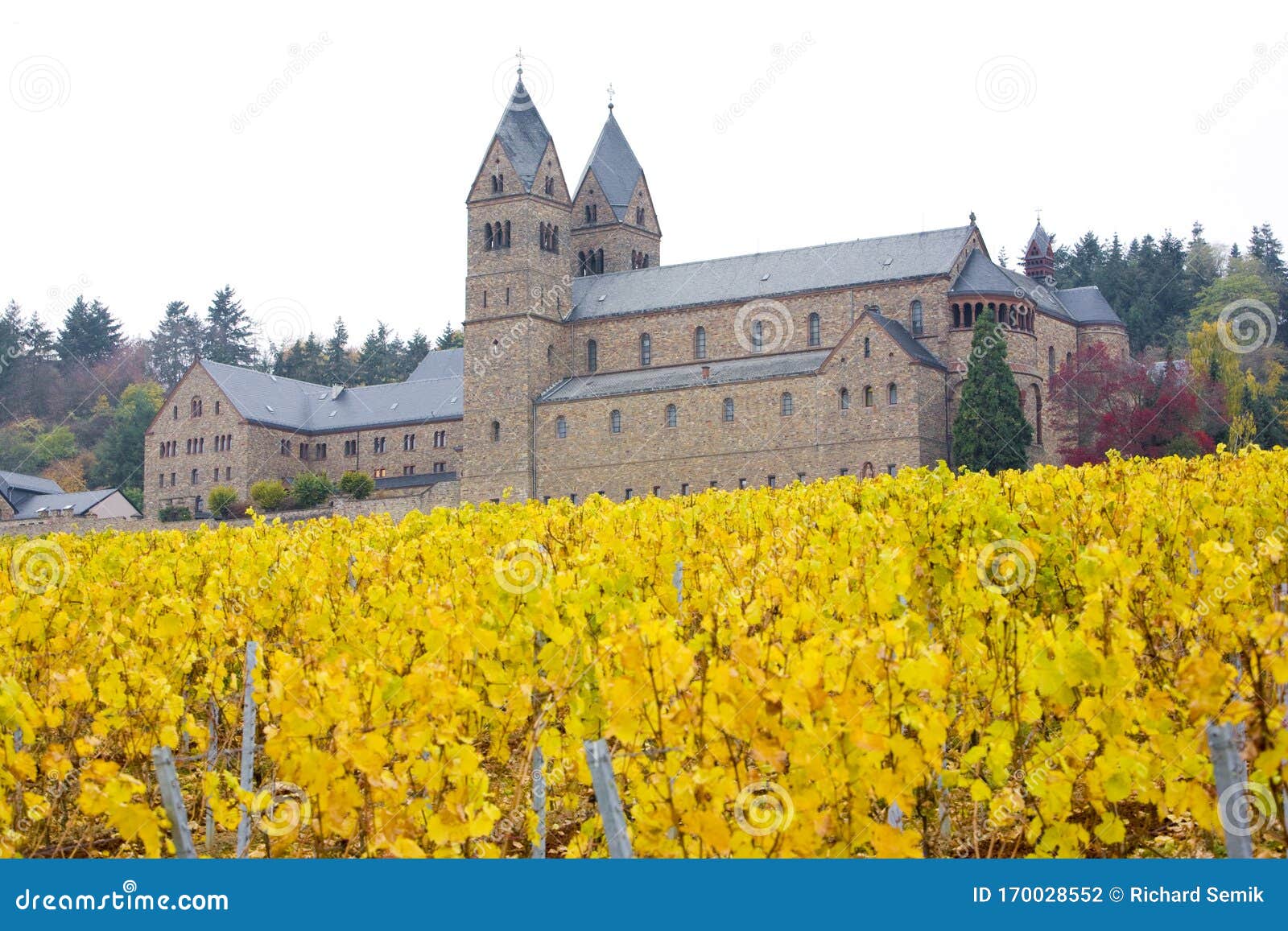 Monastery St Hildegard, Hessen, Germany Stock Photo - Image of fall ...