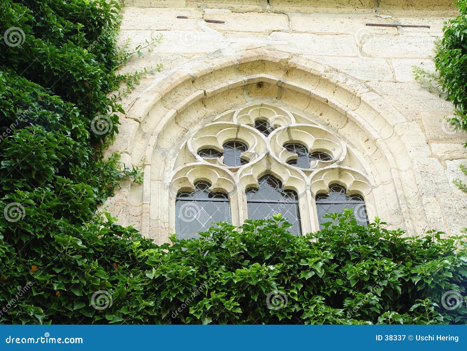 Monastery window stock image. Image of growth, building - 38337